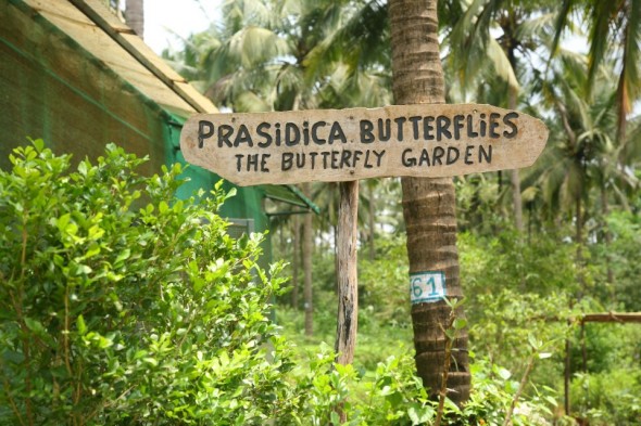 Atreya Vedic Farm Goa - Best Eco Tourism Deals